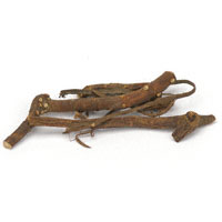 Mandrake Root 1/2 Oz. (Podophyllum peltatum): DragonMarsh